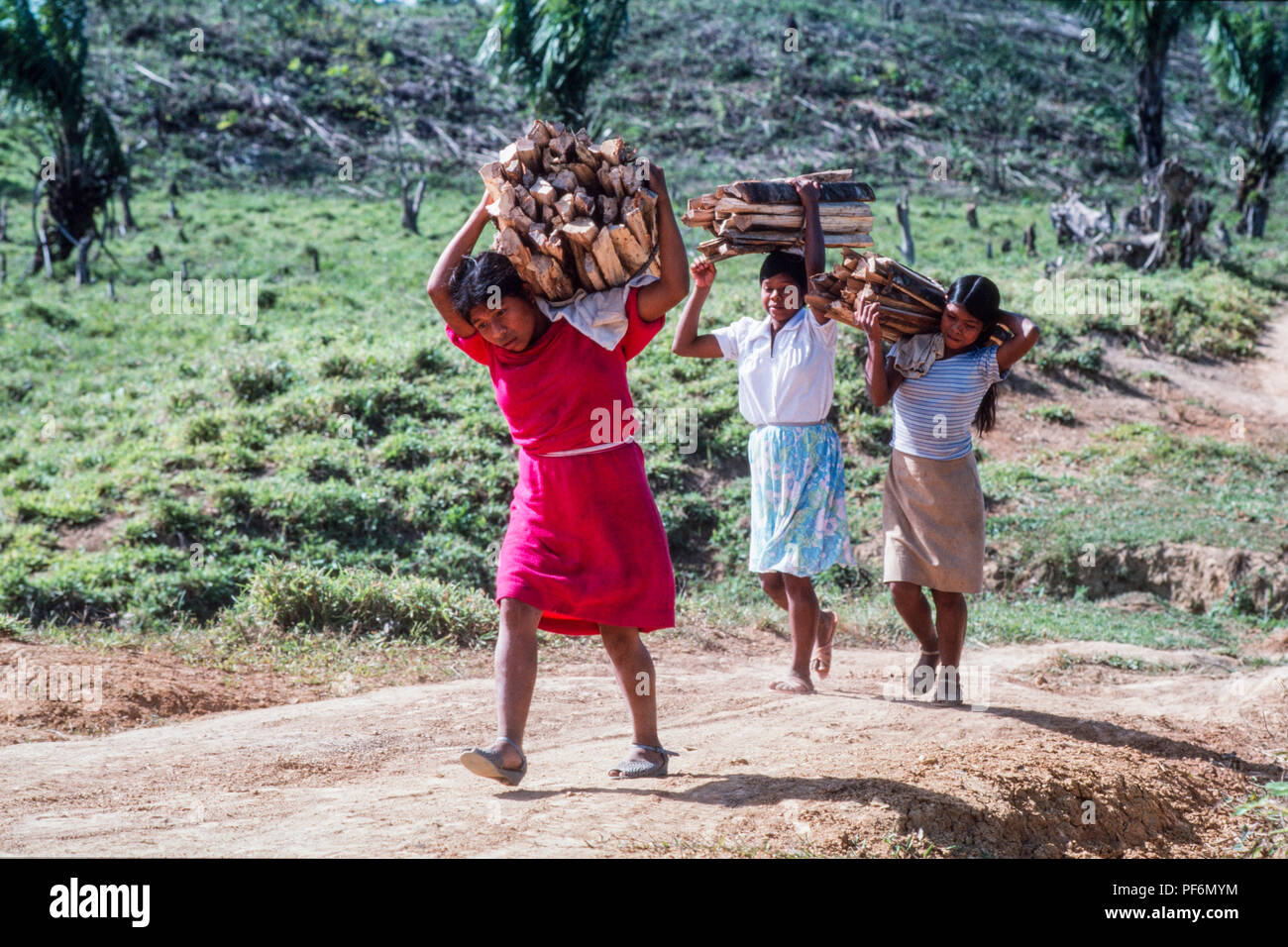 Three women carrying firewood on a rural path, surrounded by greenery ...