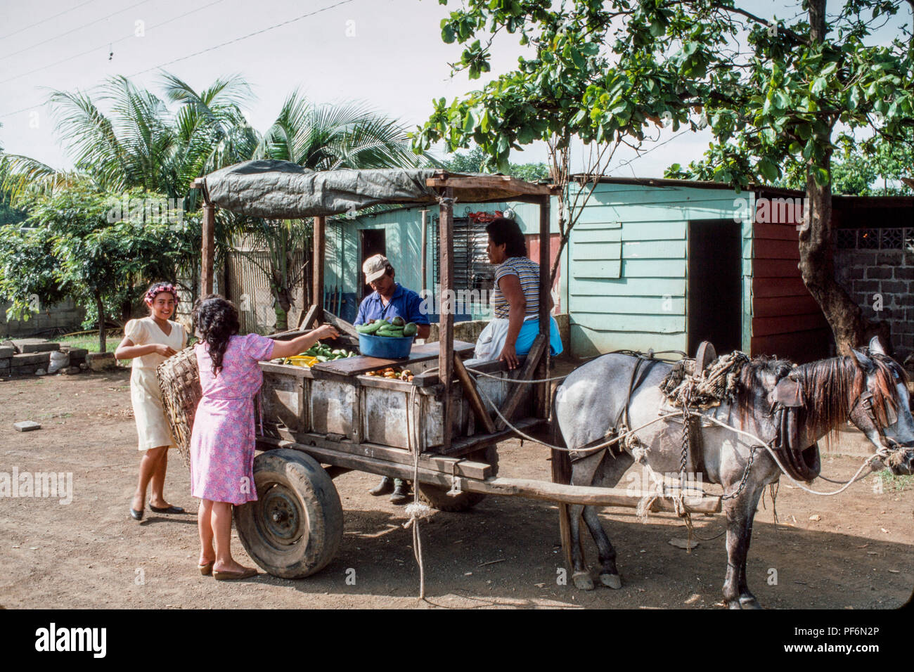 People gathering around a horse-drawn cart selling produce in a rural ...