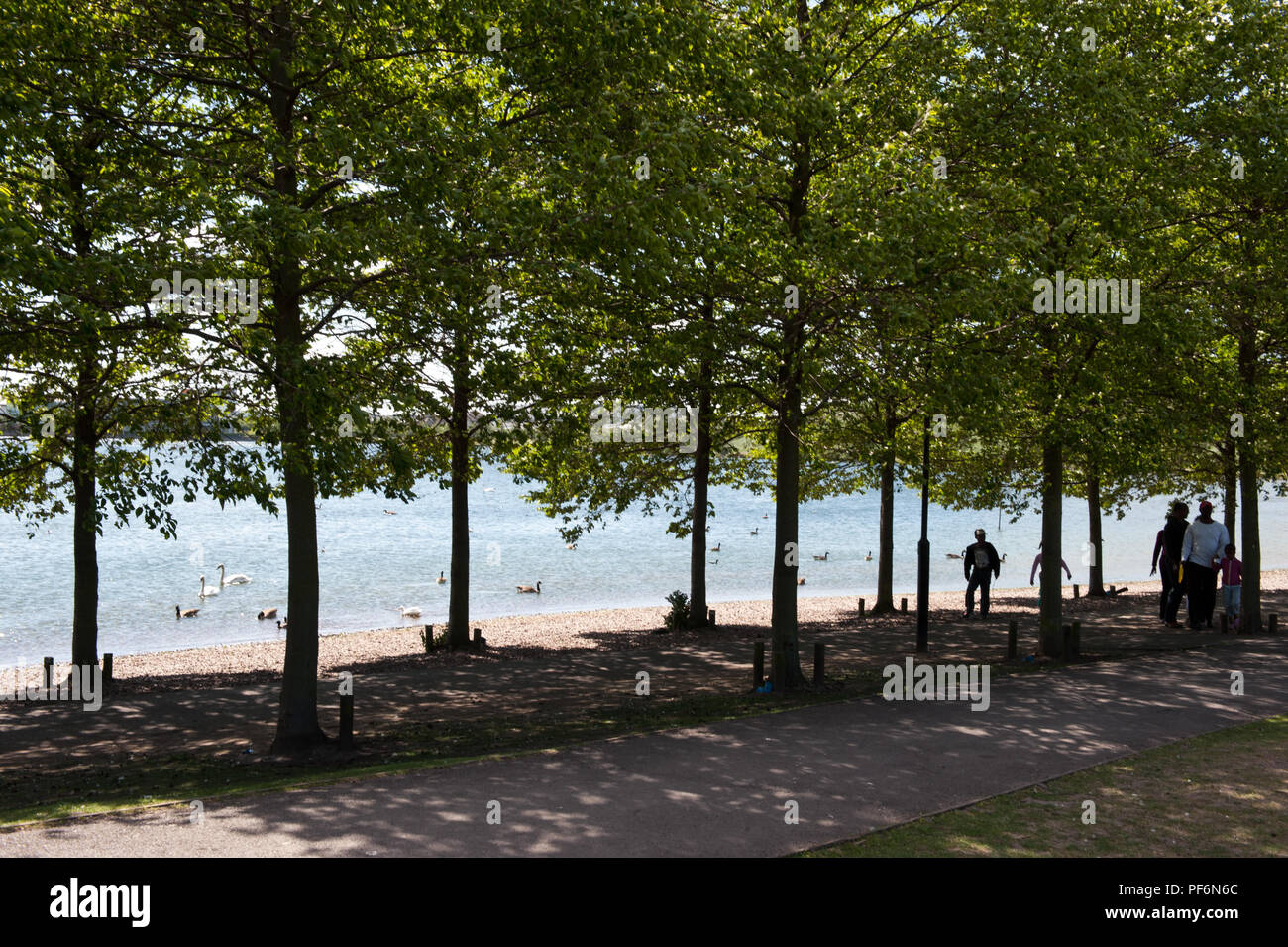Picturesque landscape of Doncaster Lakeside Stock Photo - Alamy