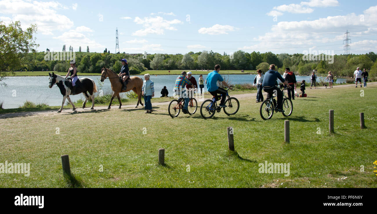 Rother Valley Country Park offers fun and recreational activities for ...