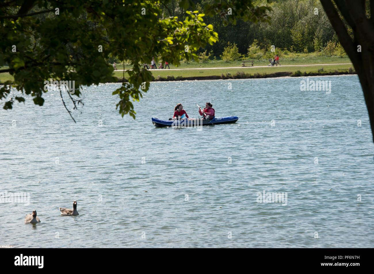 Rother Valley Country Park offers fun and recreational activities for ...
