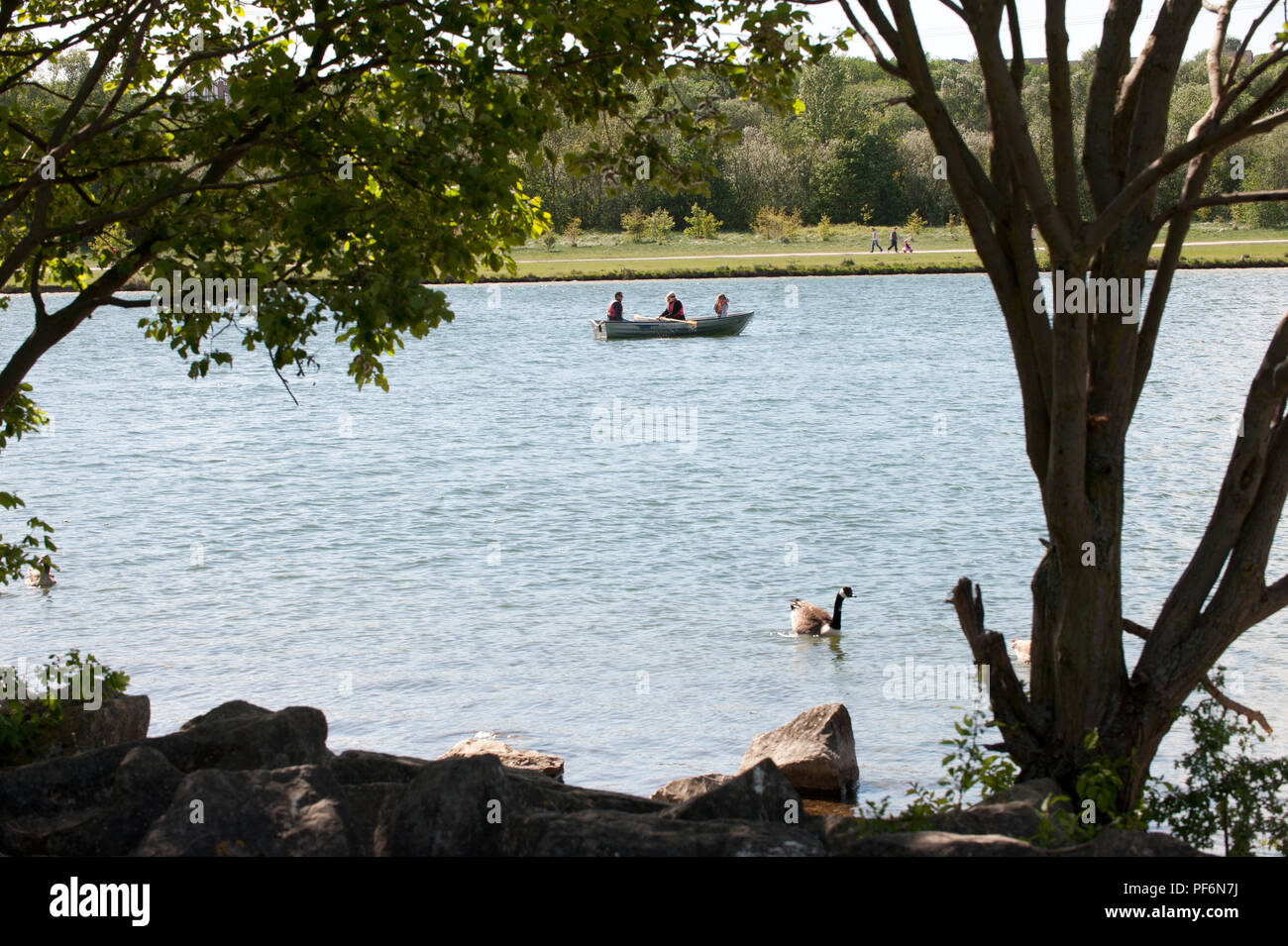Rowing at Rother Valley Country Park is fun and offers recreational ...