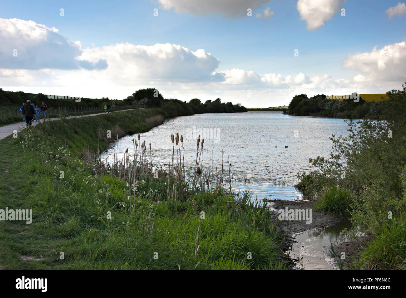 Parks rotherham hi-res stock photography and images - Alamy