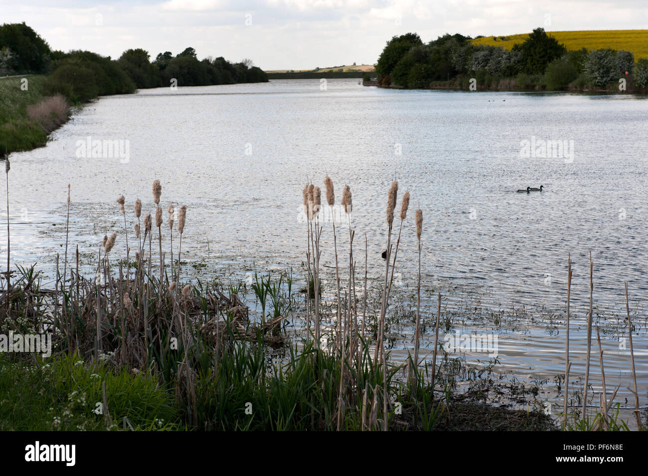 Parks rotherham hi-res stock photography and images - Alamy