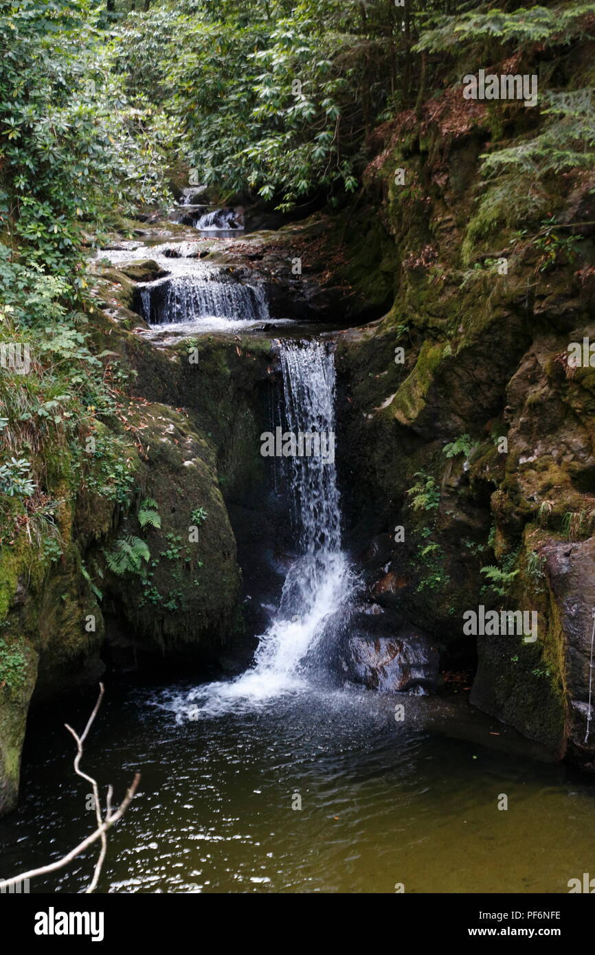 Cascada geroldsau hi-res stock photography and images - Alamy