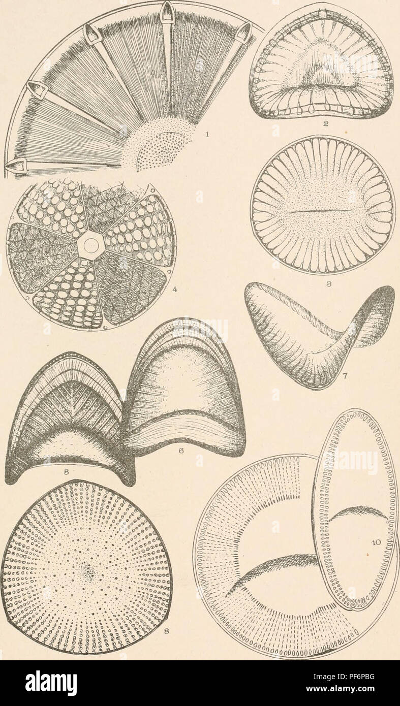 This work by Francis Wolle provides an extensive illustrated catalog of ...