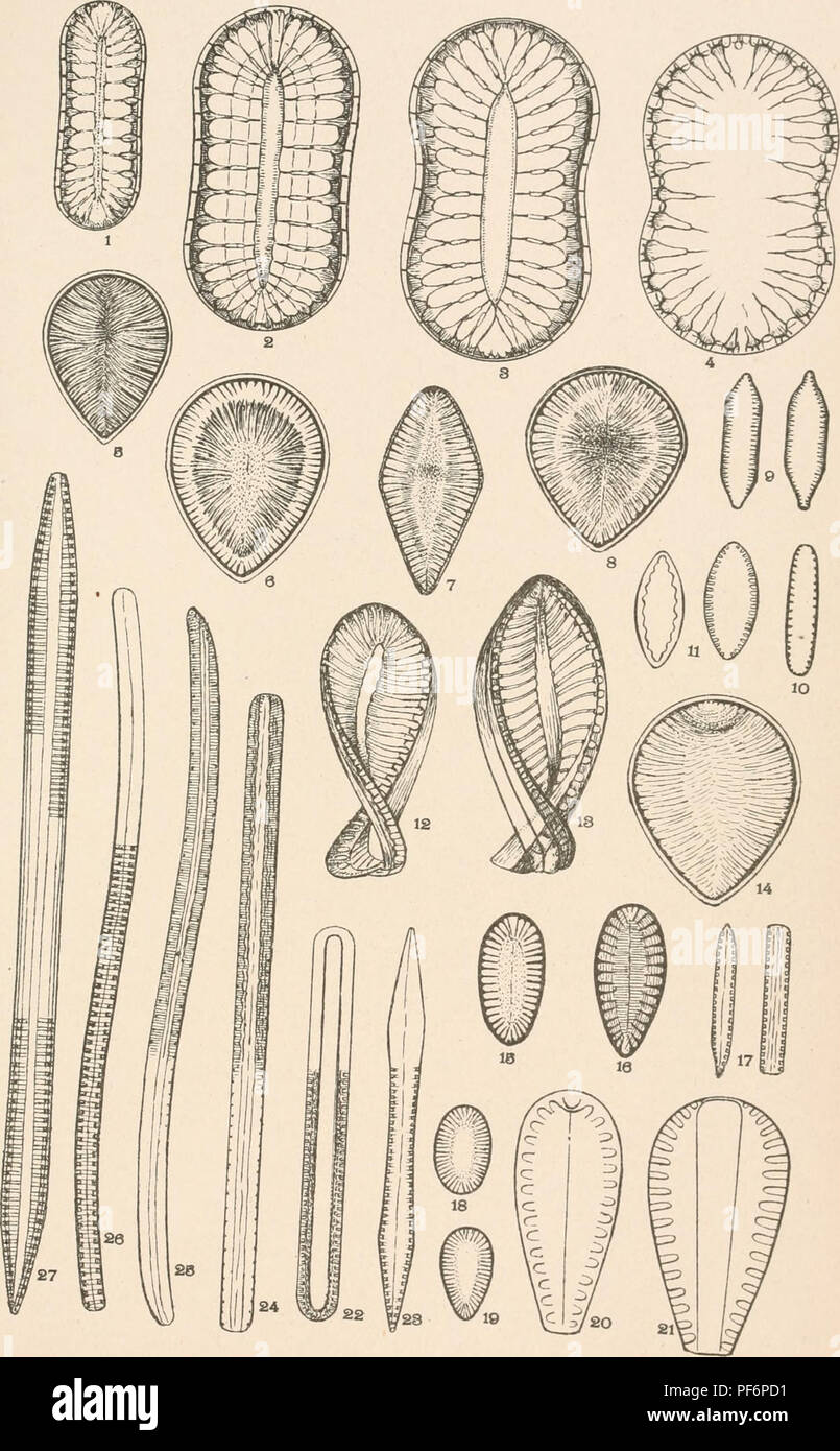 This work presents a comprehensive collection of illustrations of ...