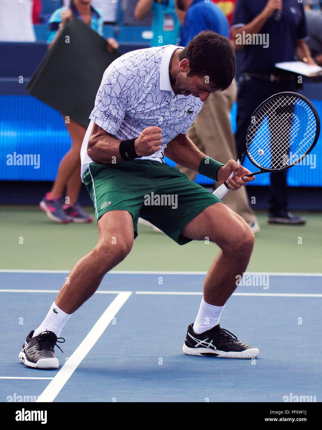 Mason, Ohio, USA. August 19, 2018: Novak Djokovic (SRB) celebrates his ...