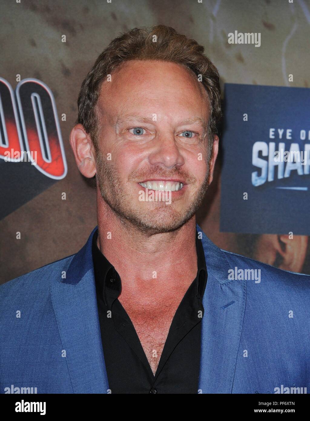 Los Angeles, CA, USA. 19th Aug, 2018. Ian Ziering at arrivals for THE ...