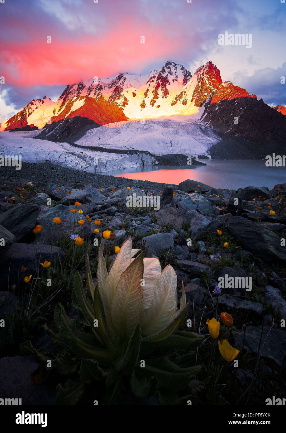 Bogda shan hi-res stock photography and images - Alamy