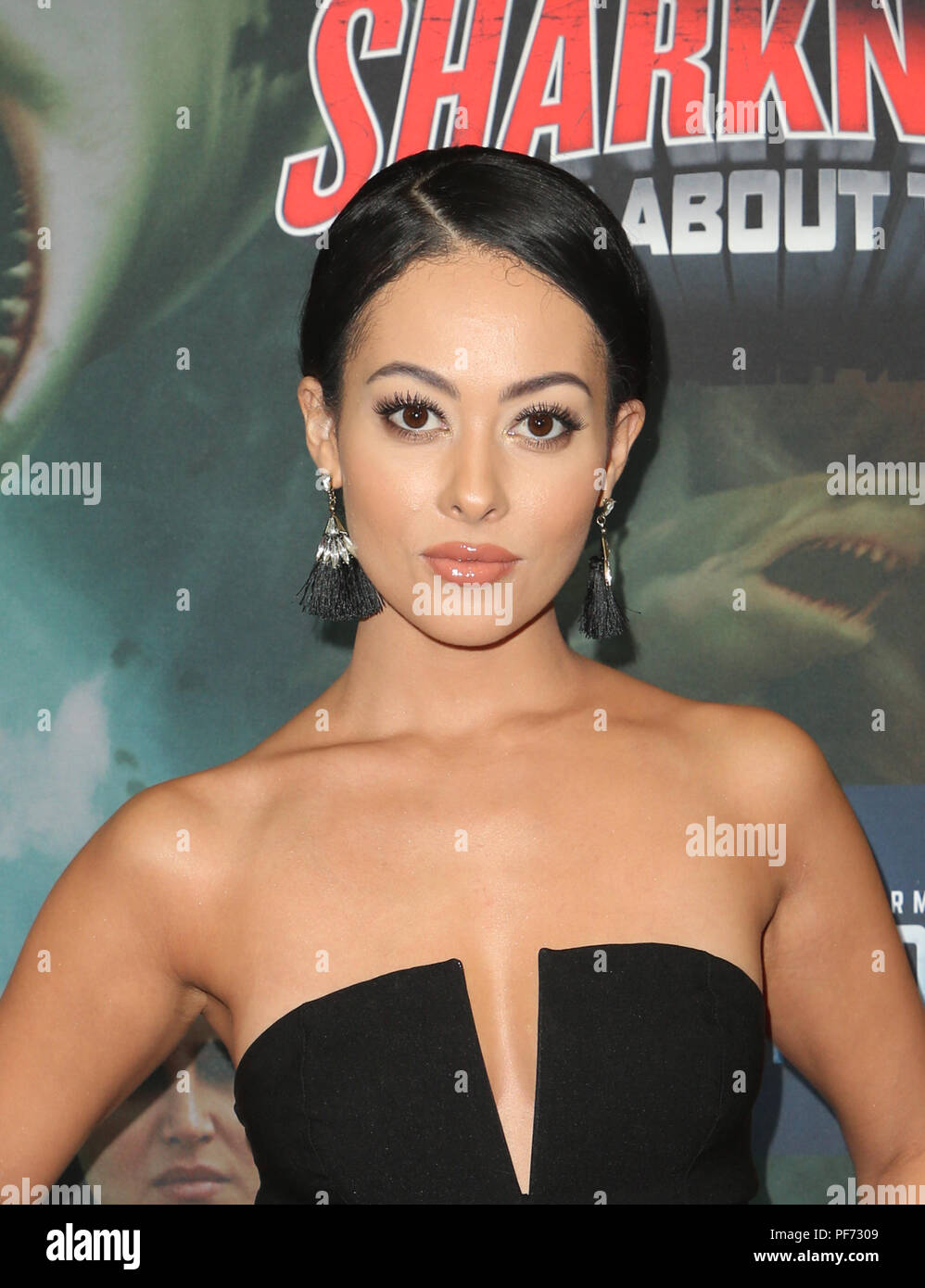 LOS ANGELES, CA - AUGUST 19: Ashley Doris, at The Last Sharknado: Its ...