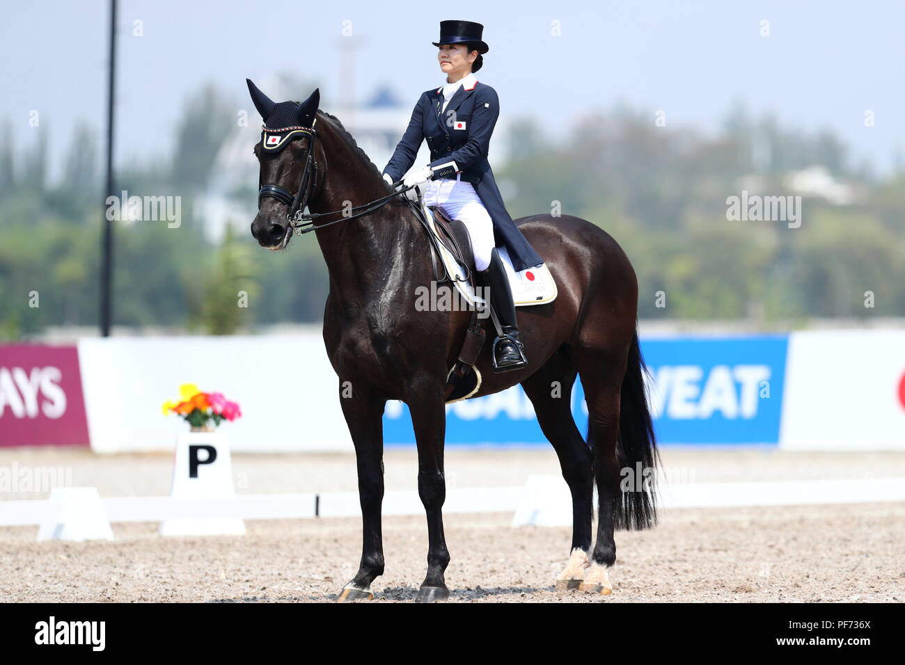 Jakarta, Indonesia. 20th Aug, 2018. Akane Kuroki (JPN) Equestrian ...