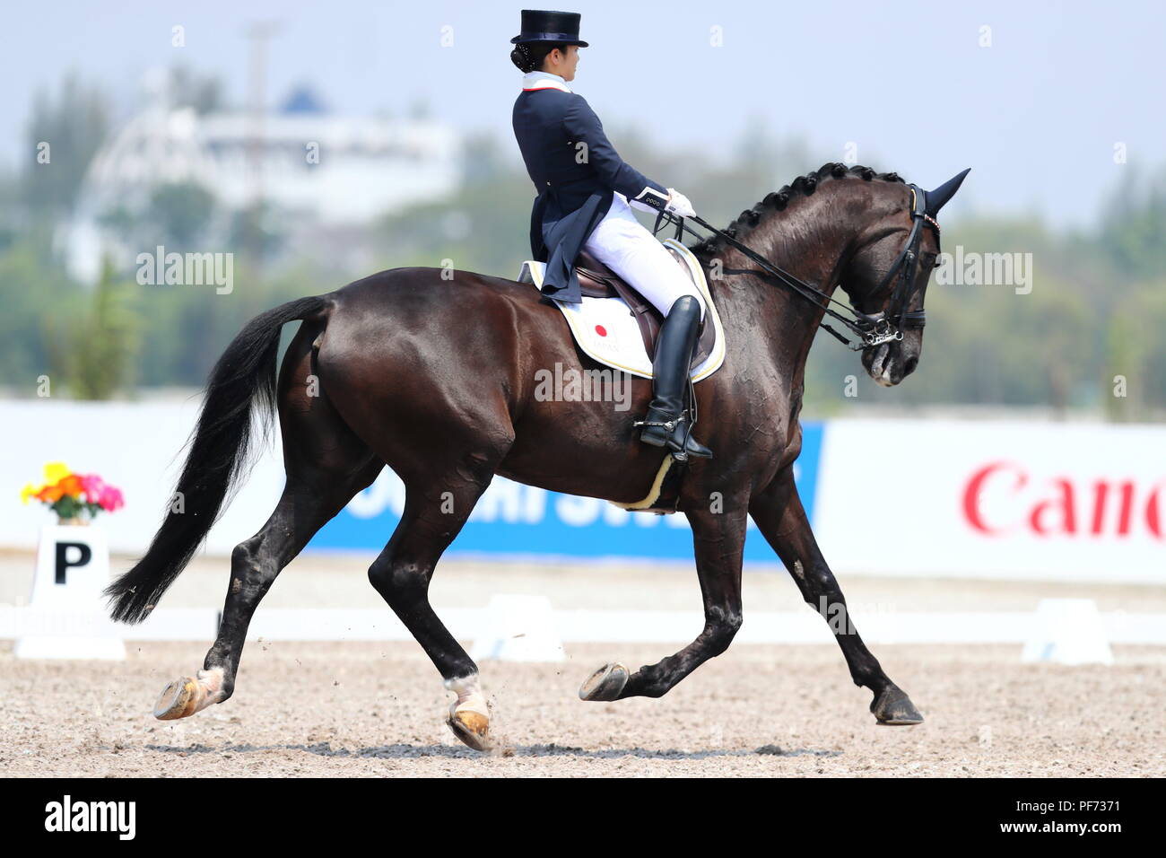 Jakarta, Indonesia. 20th Aug, 2018. Akane Kuroki (JPN) Equestrian ...