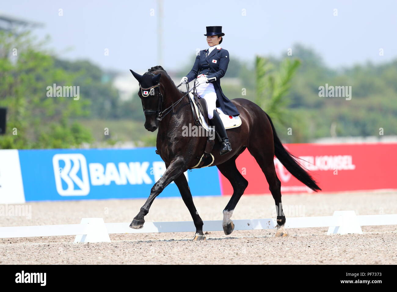 Jakarta, Indonesia. 20th Aug, 2018. Akane Kuroki (JPN) Equestrian ...