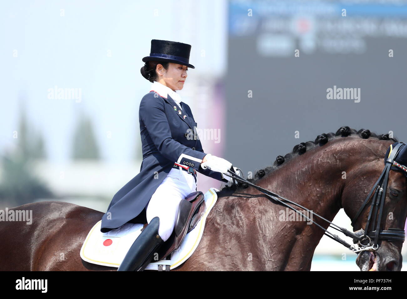 Jakarta, Indonesia. 20th Aug, 2018. Akane Kuroki (JPN) Equestrian ...