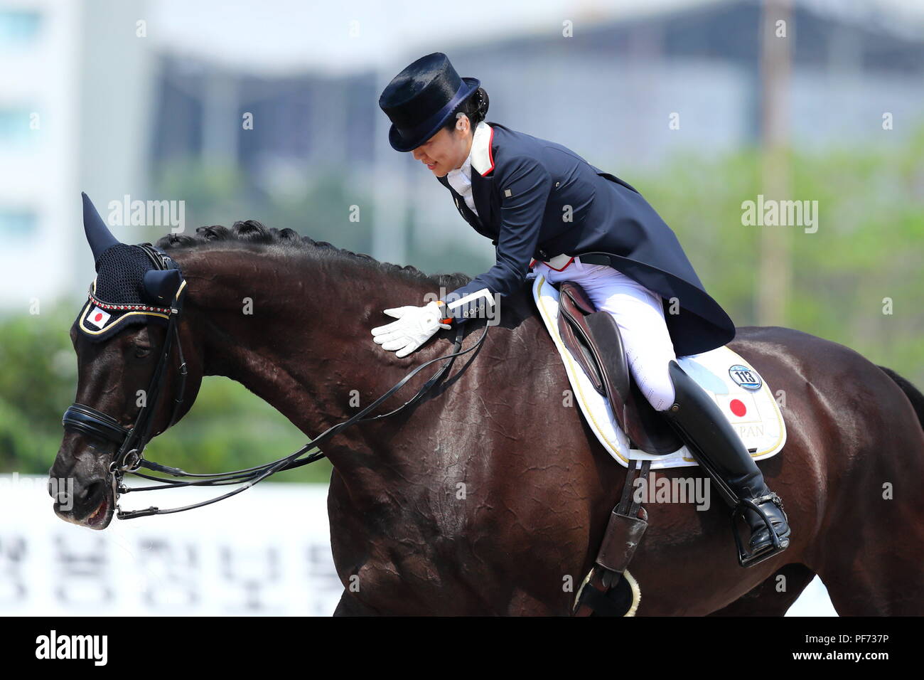 Jakarta, Indonesia. 20th Aug, 2018. Akane Kuroki (JPN) Equestrian ...