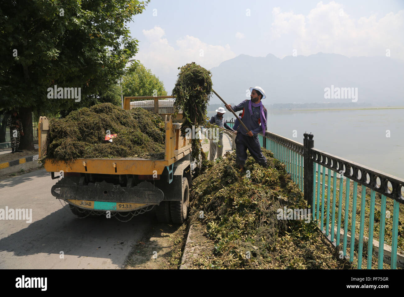 Jkb48 - Best photos on interruptordiferencial.net