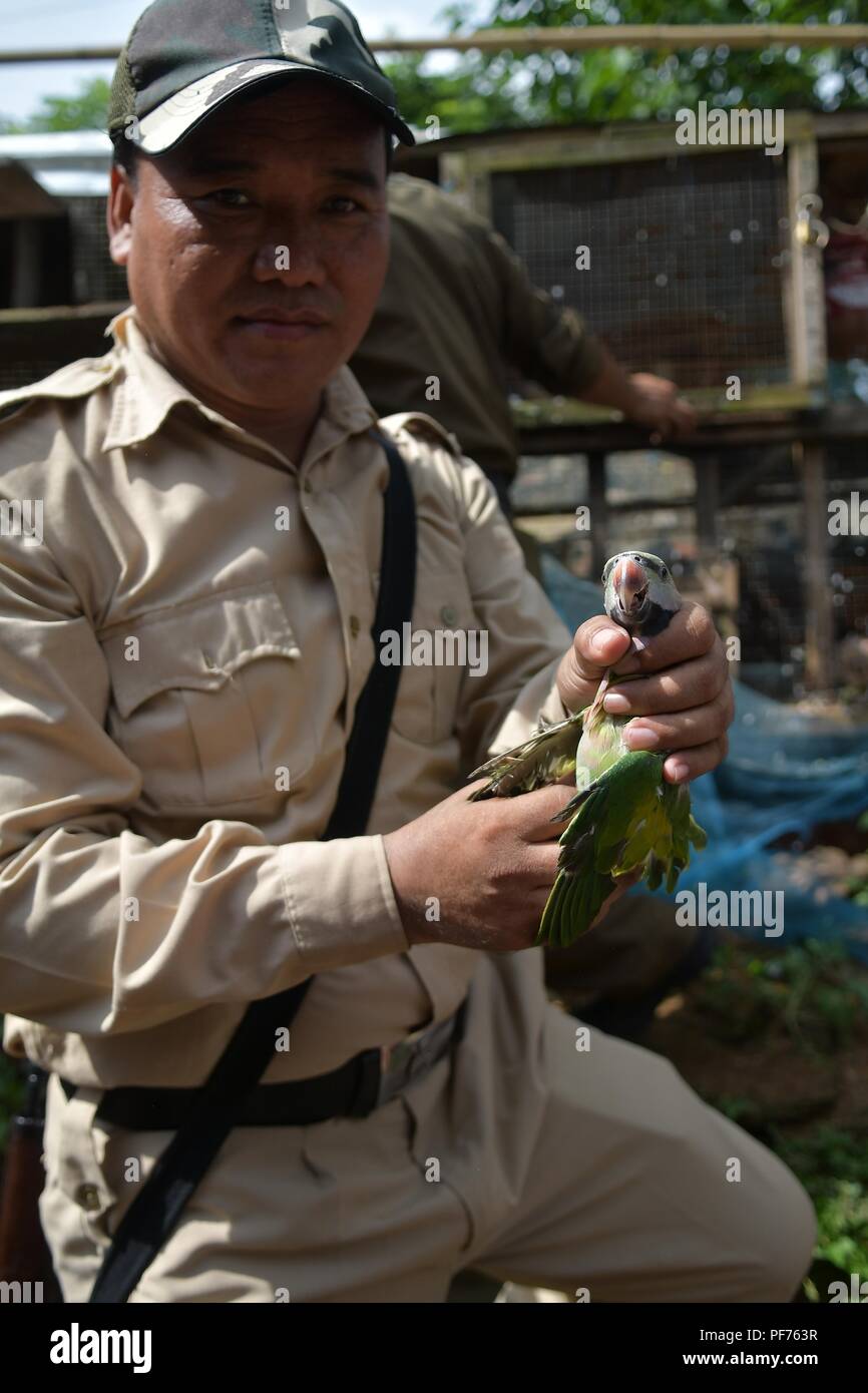 Two dead birds hi-res stock photography and images - Alamy