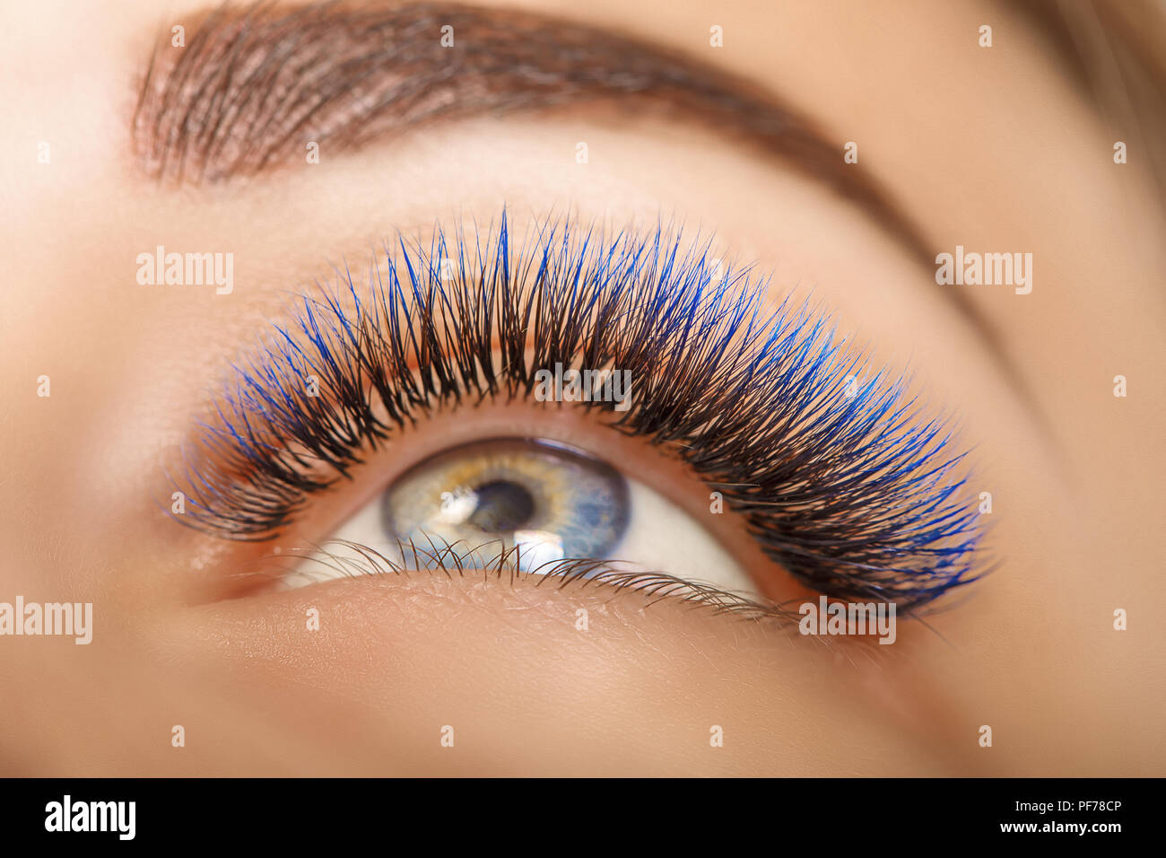 Eyelash Extension Procedure. Woman Eye with Long Blue Eyelashes. Ombre ...