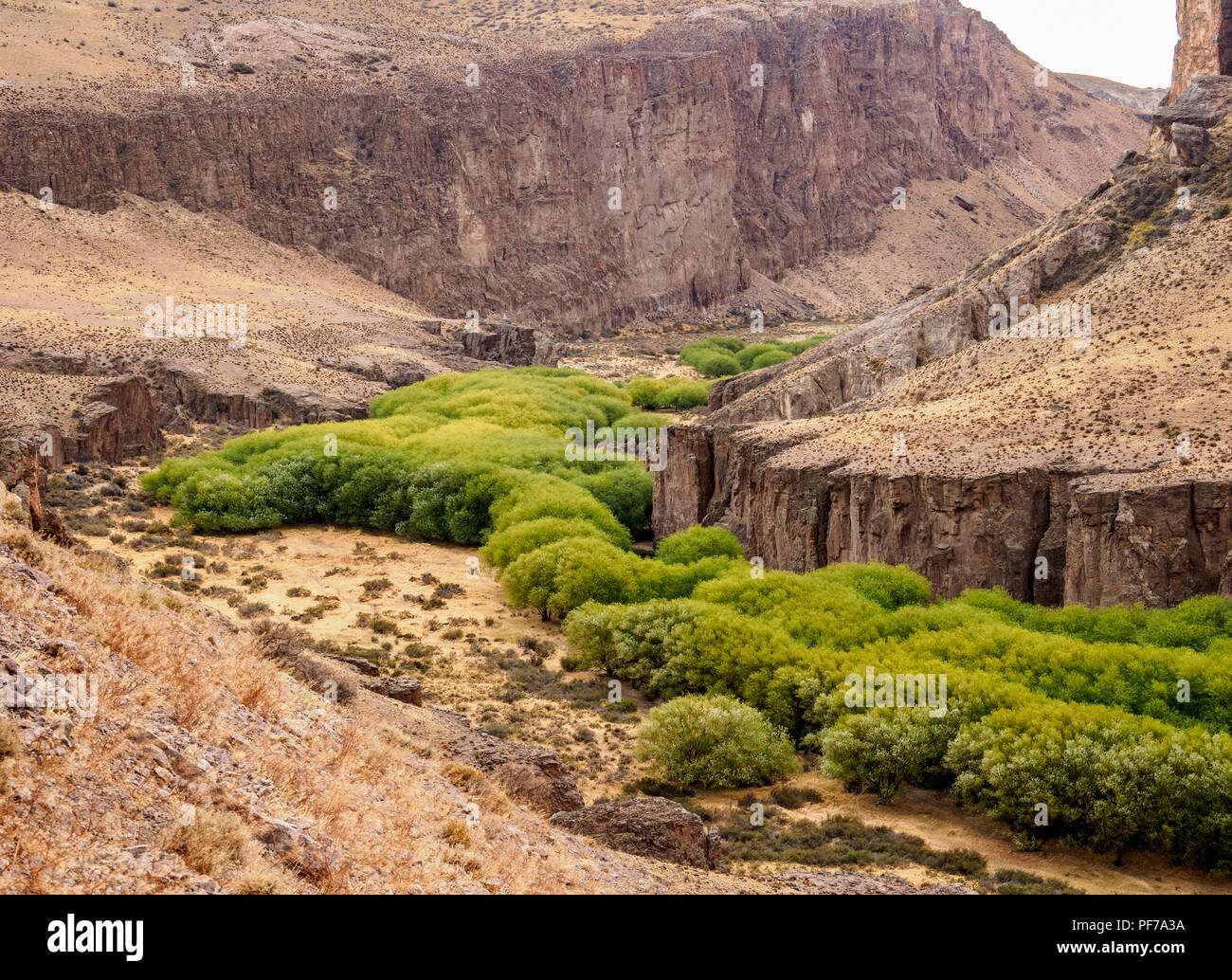 Rio Pinturas Canyon, Santa Cruz Province, Patagonia, Argentina Stock ...