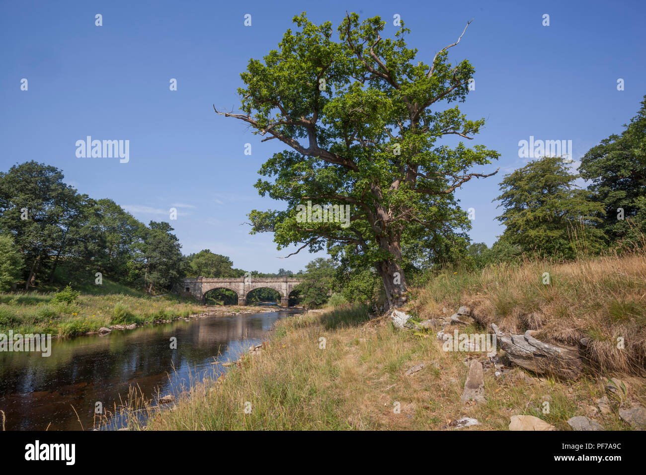 Barden Bridge near Bolton Abbey in Yorkshire Stock Photo - Alamy