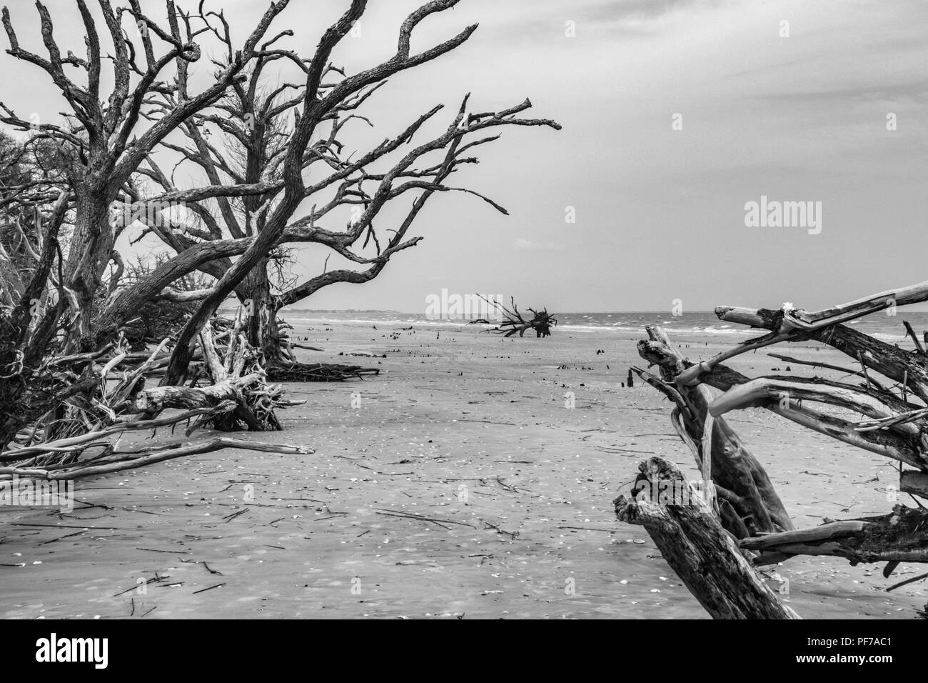 Ecology: global warming - rising sea levels - beach erosion - and ...