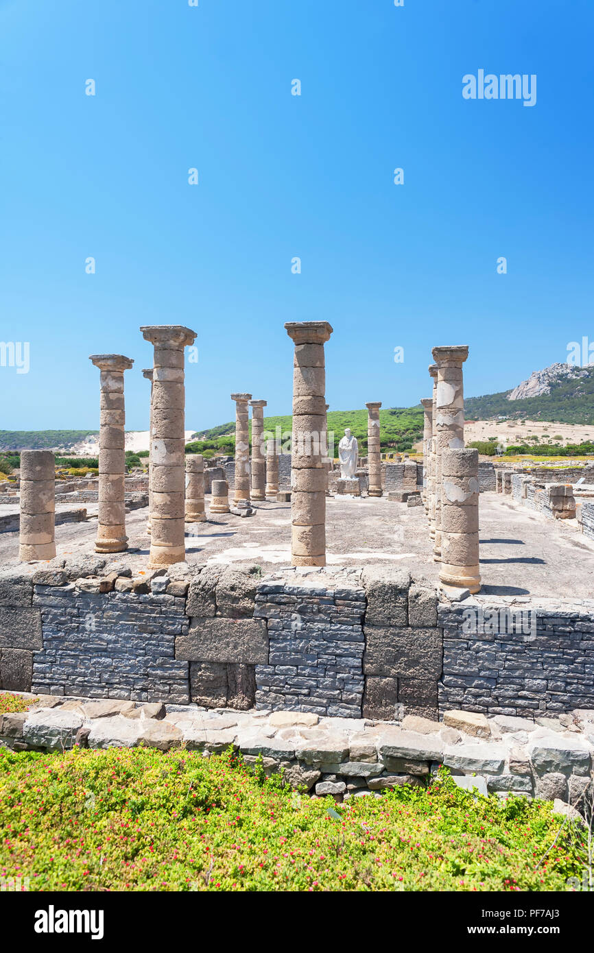 Basílica de bolonia hi-res stock photography and images - Alamy