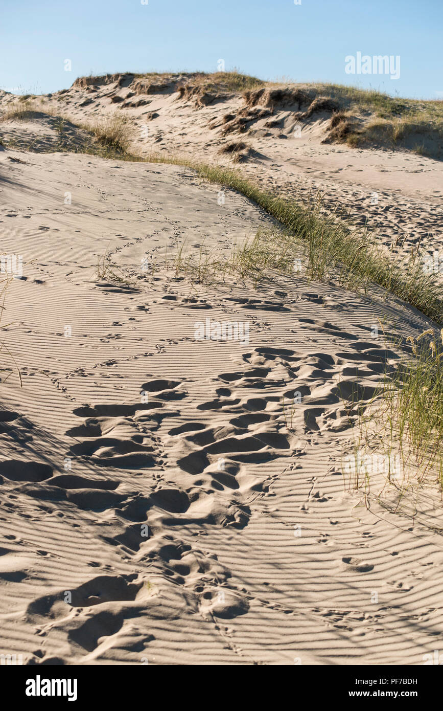 Sand vertical hi-res stock photography and images - Alamy