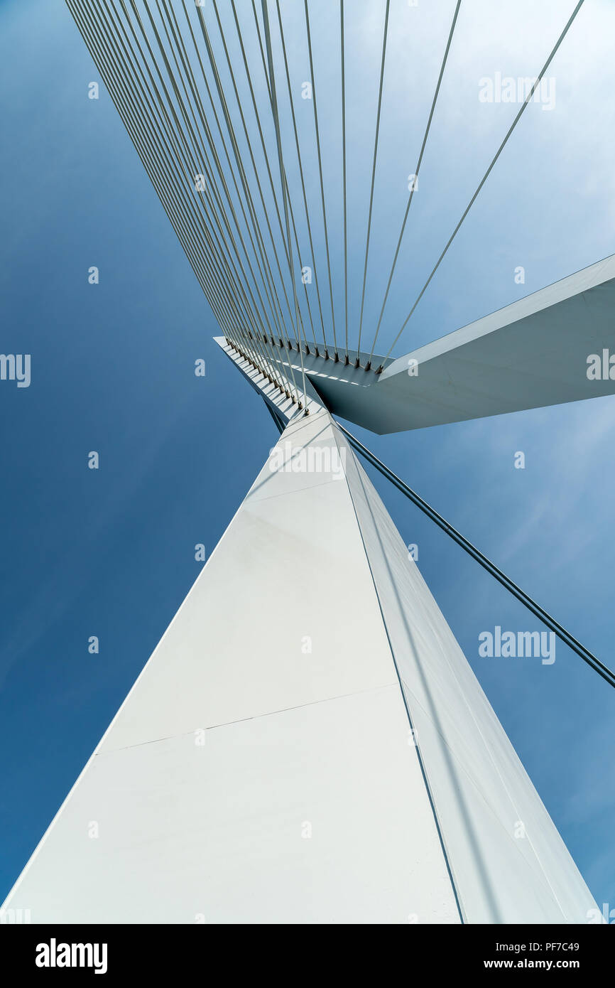 Close up of Erasmus bridge in Rotterdam, Netherlands Stock Photo - Alamy