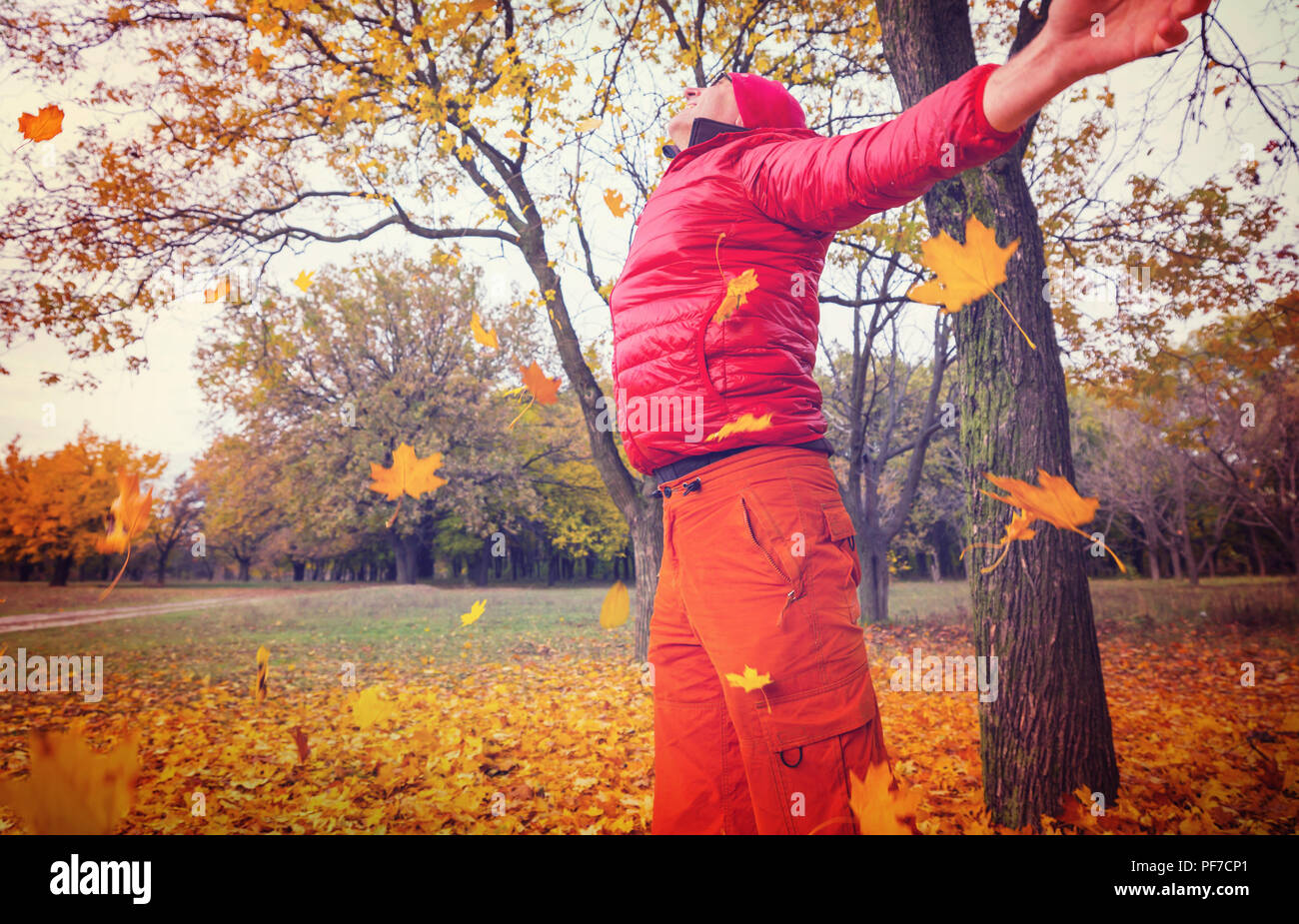 Autumn scene in yellow tones Stock Photo - Alamy