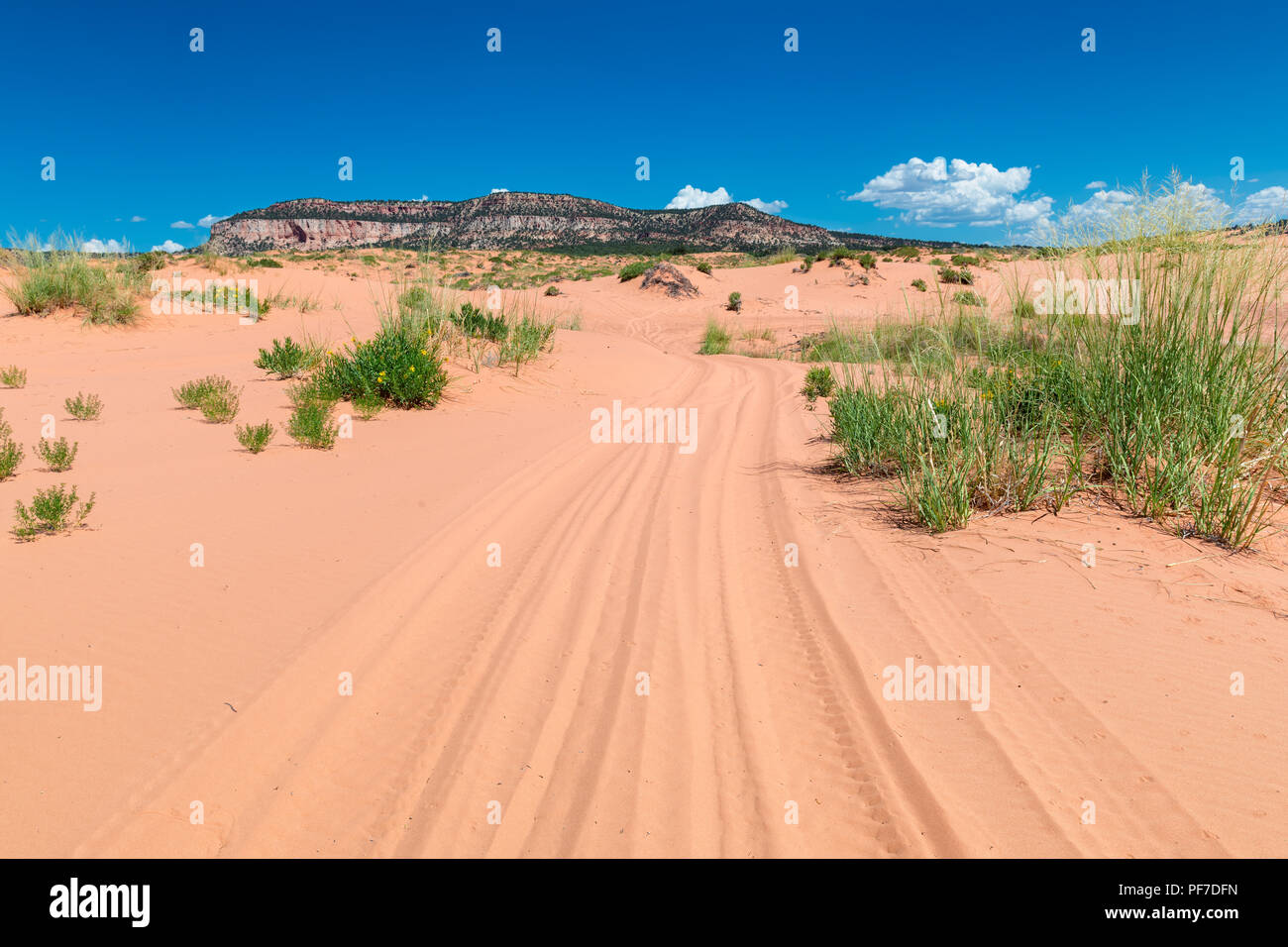 Sand desert road hi-res stock photography and images - Alamy