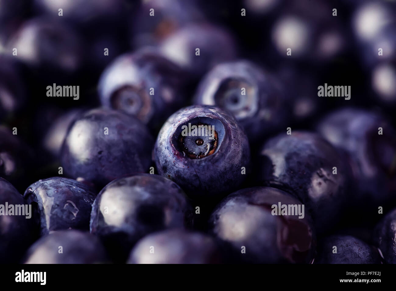 Blueberry blueberries background, close-up Stock Photo - Alamy
