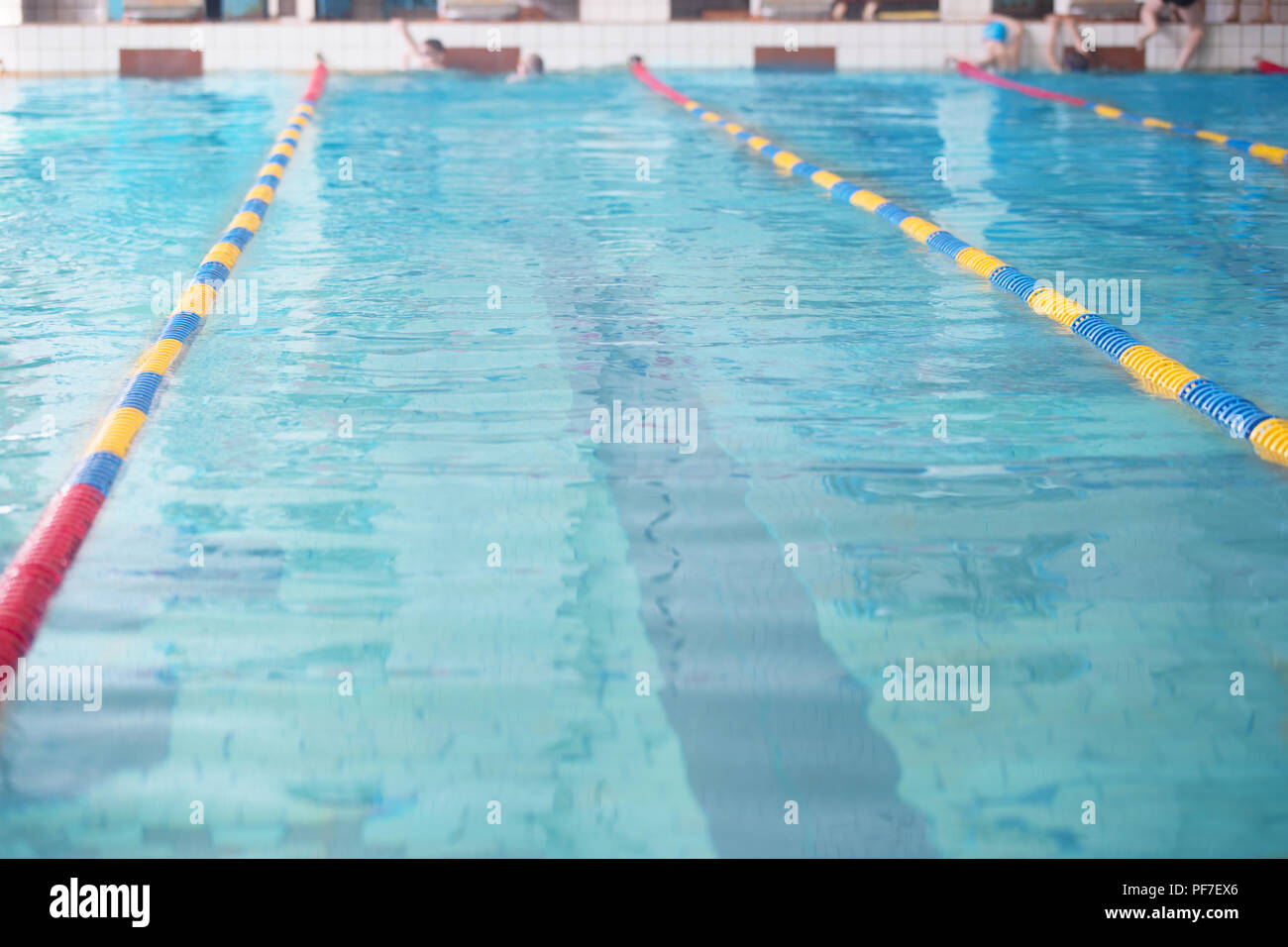 Lanes of a competition swimming pool Stock Photo - Alamy