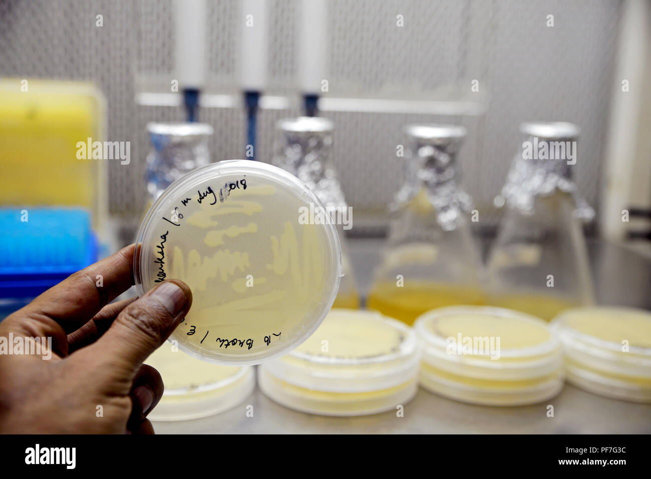 Coli antibiotic hi-res stock photography and images - Alamy