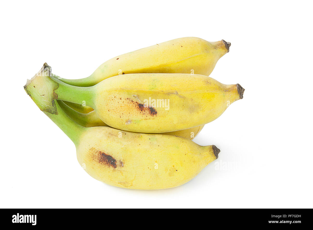 cultivated banana isolated on white Stock Photo - Alamy