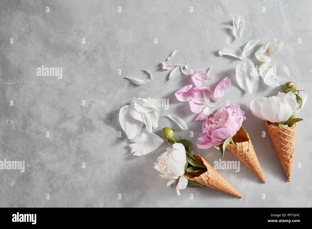 Delicate pink, white peony flowers in a wafer cones with petals on a ...