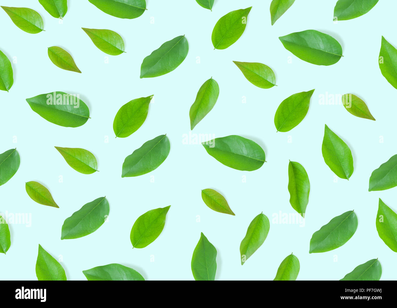 Seamless pattern background with fresh leaves Stock Photo - Alamy