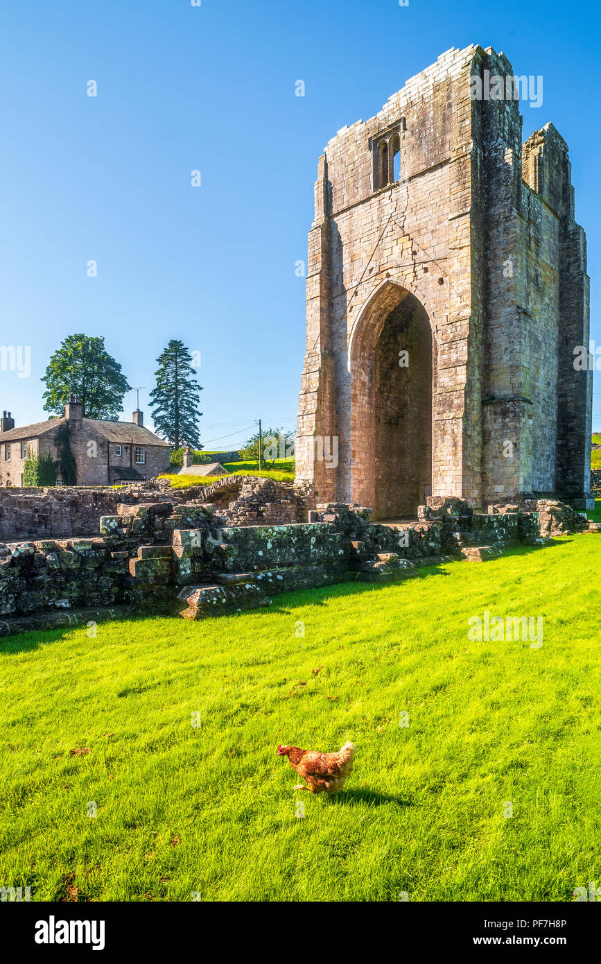 Ruins of Shap Abbey, a Premonstratensian abbey dating from the late ...