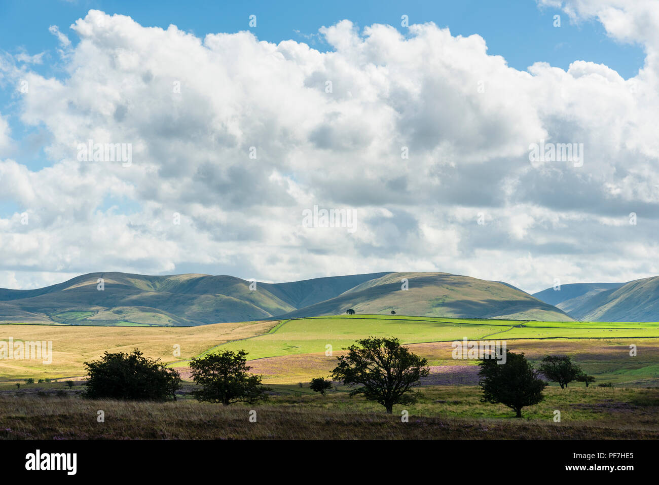 Heather moors hi-res stock photography and images - Alamy