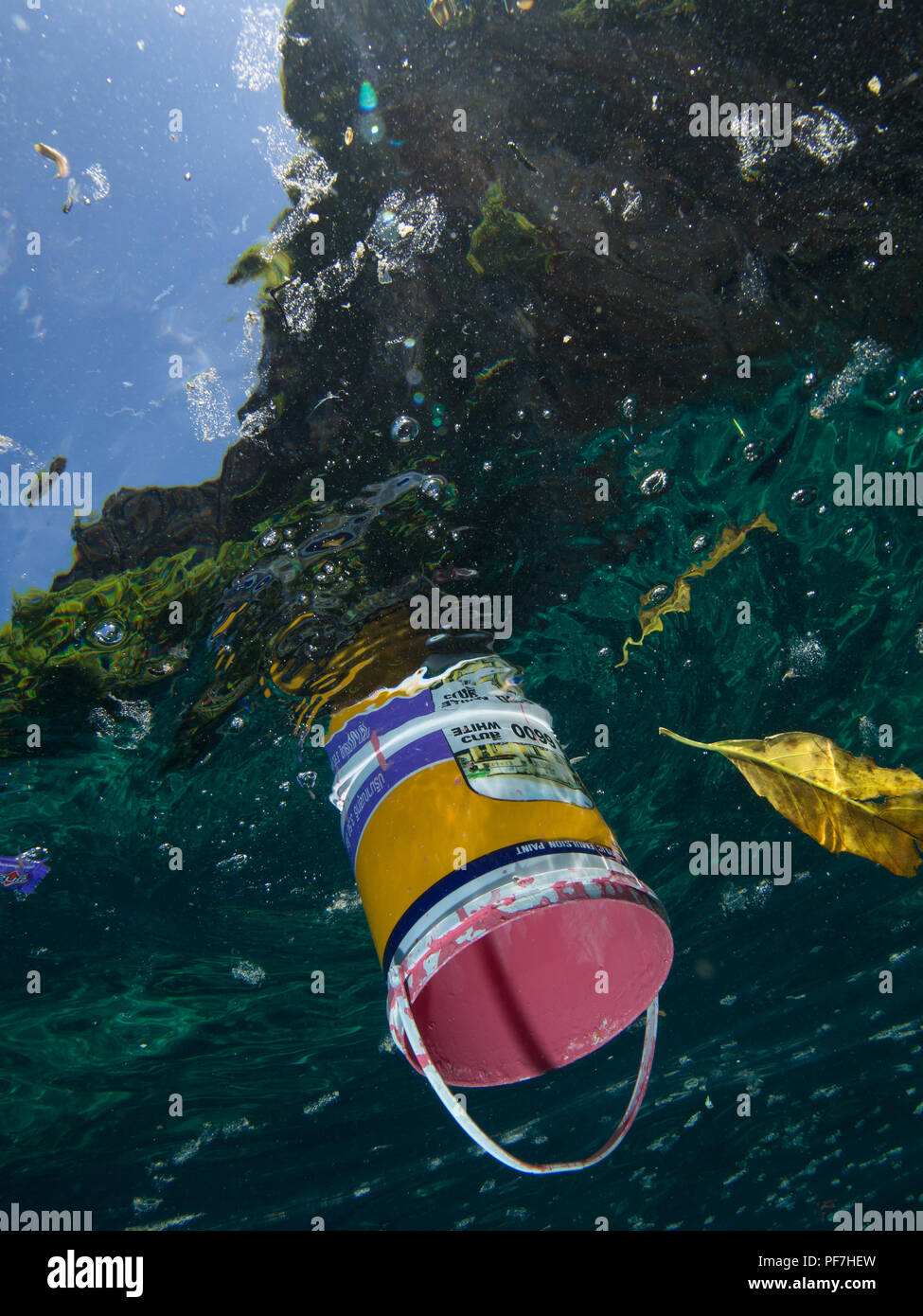 Paint bucket floating on the ocean surface, shot underwater Stock Photo ...