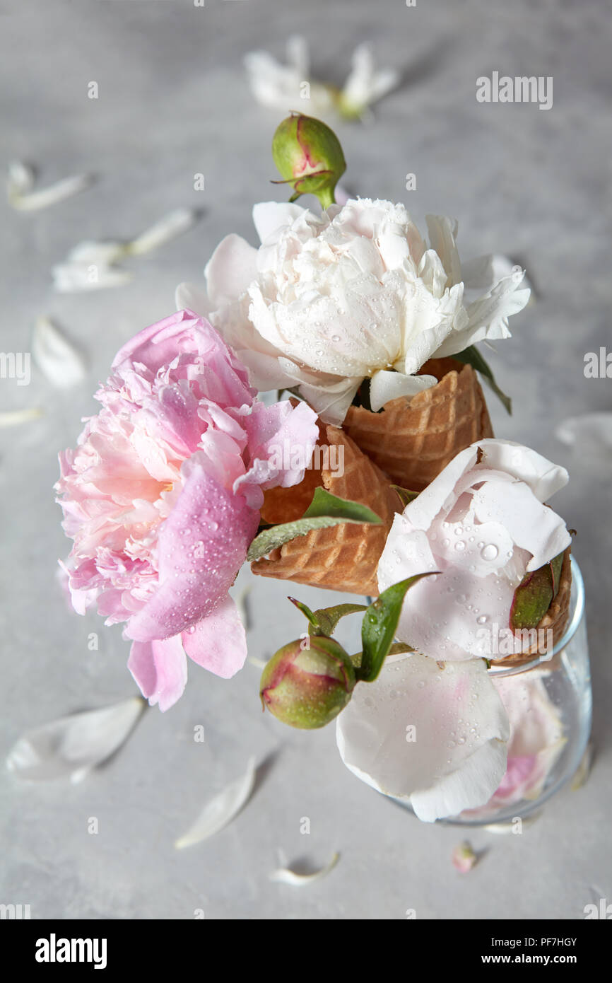 Three sweet wafer cones with beautiful peony flowers, green leaf, water ...