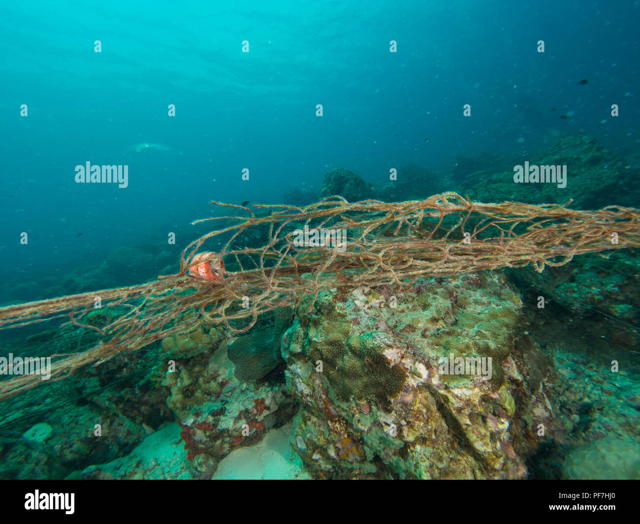Ghost fishing hi-res stock photography and images - Alamy