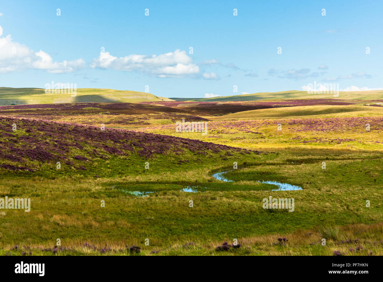 Heather moors hi-res stock photography and images - Alamy