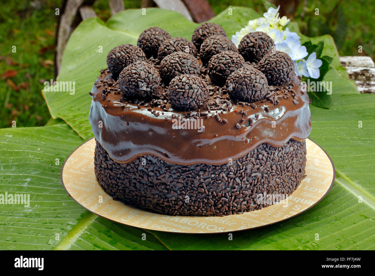 Chocolate cake with bonbon Stock Photo - Alamy
