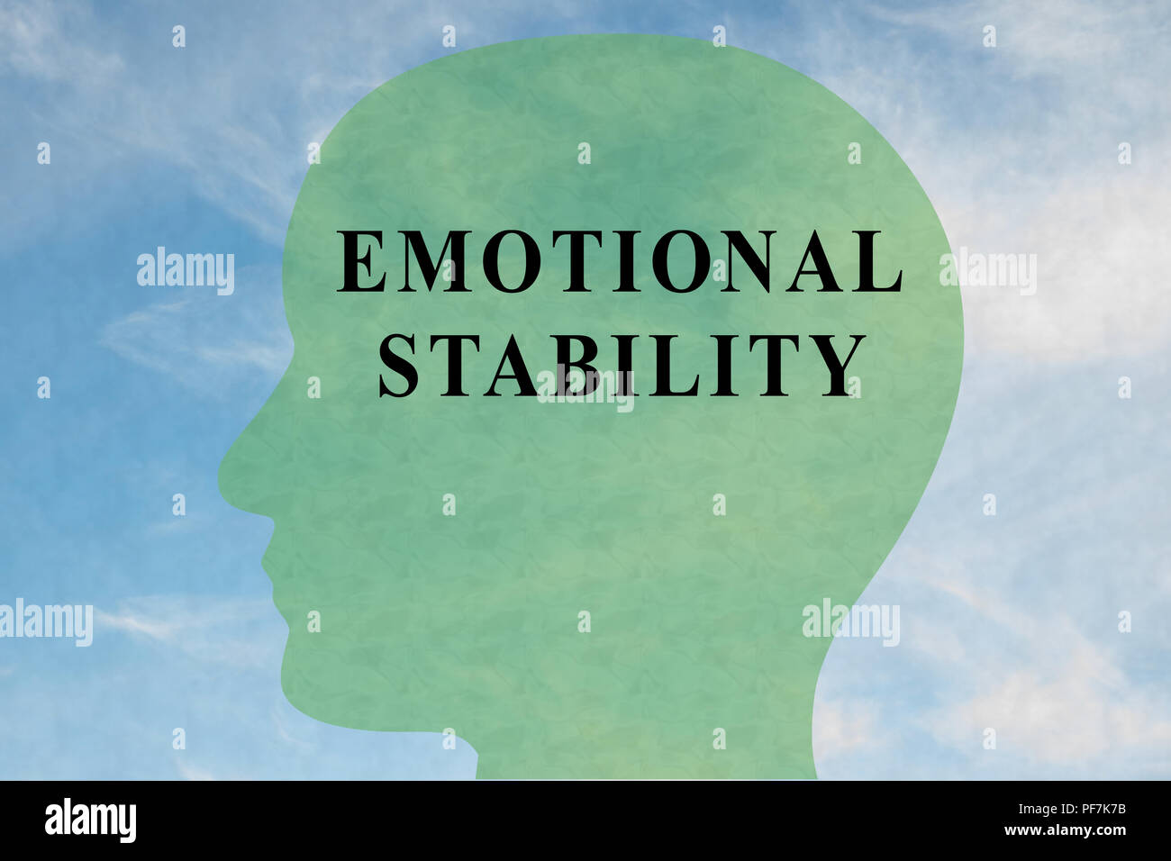 Render illustration of EMOTIONAL STABILITY title on head silhouette ...