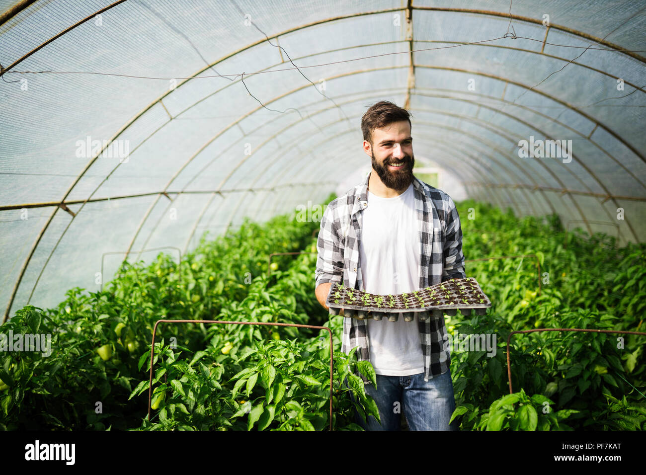 Man doing yard work hi-res stock photography and images - Alamy