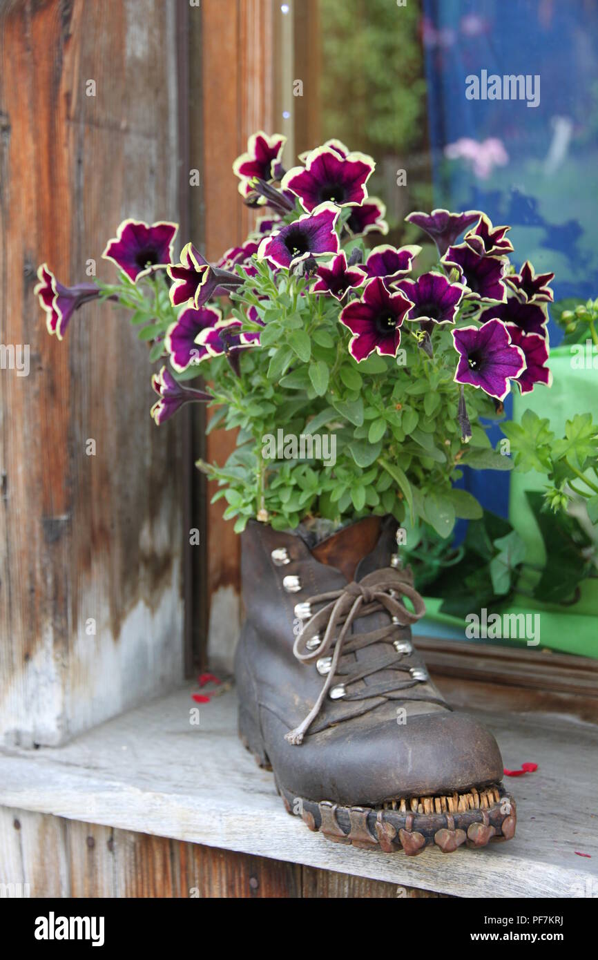 Unusual Flower Arrangements