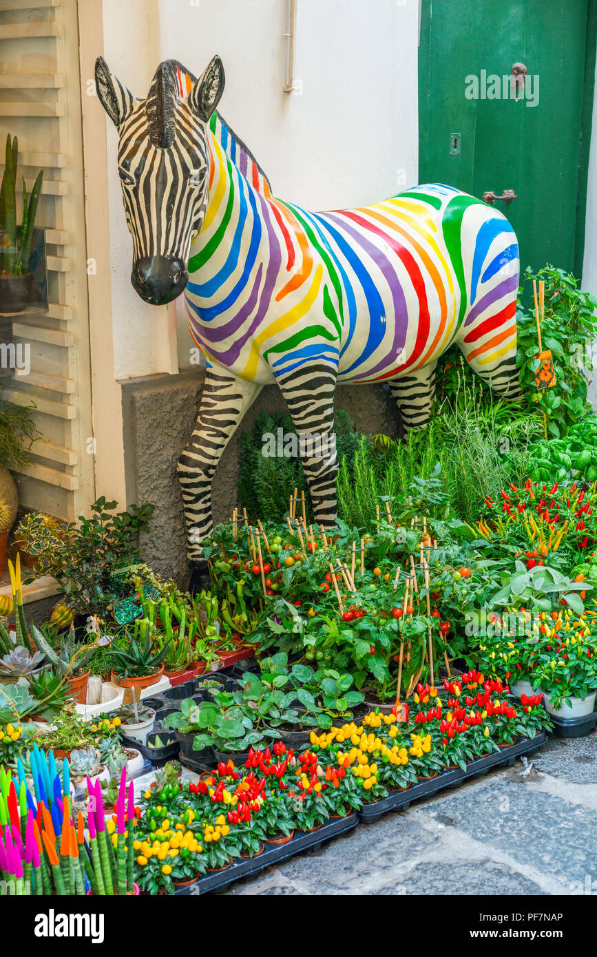 Eye catching display outside a shop selling Plants on the Island of ...