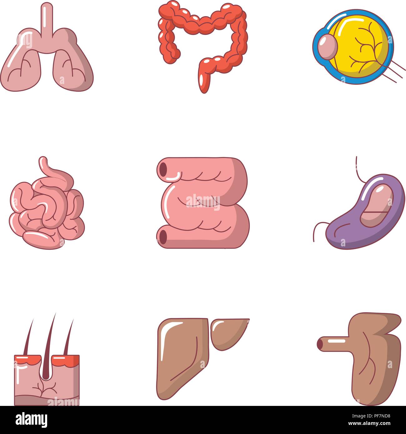 Intrinsic Stock Vector Images - Alamy