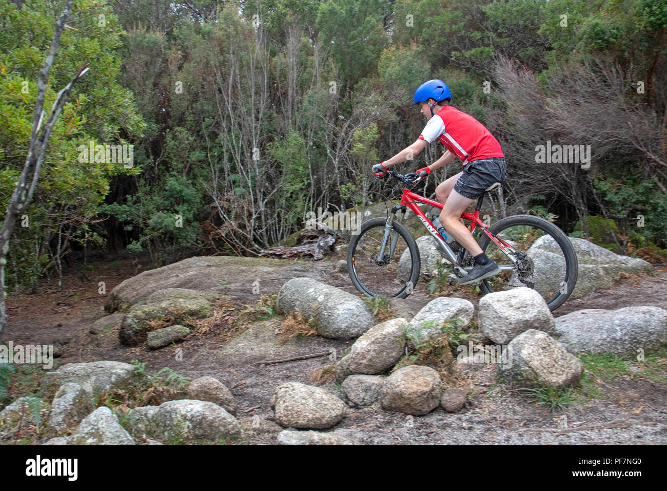 Boy atlas hi-res stock photography and images - Alamy